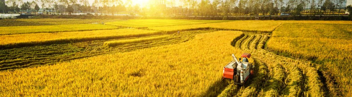 Online: AgriTech Digital Innovation Week with Amazon Web Services ...