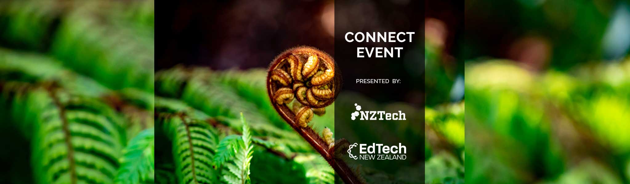 Māori Tech Success & Digital Skills Pathways - Tech New Zealand