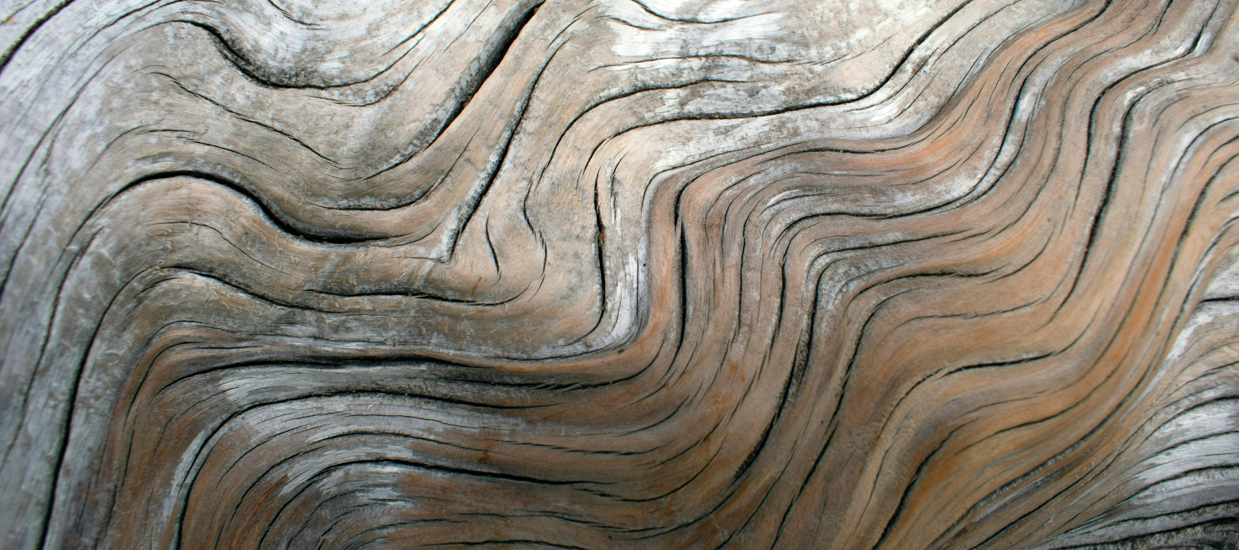 SBS Reception Lounge – Tech New Zealand